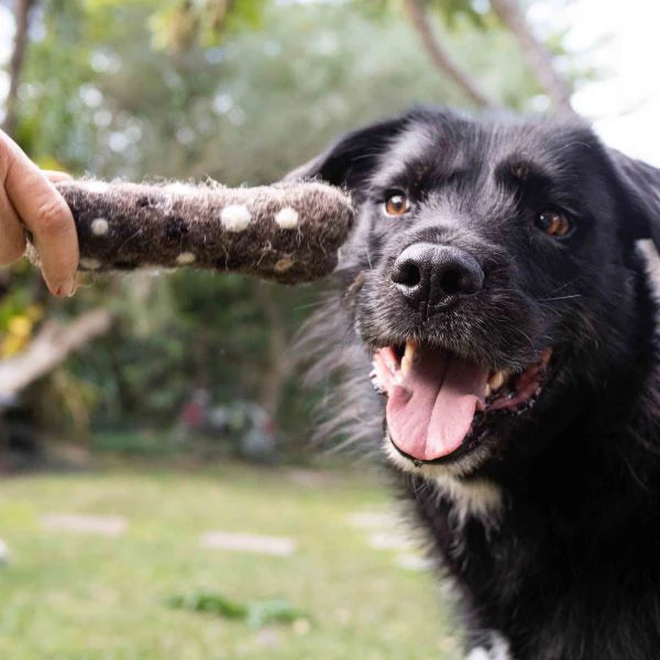 Eco Max Pounce & Play Wool Toy, Please Select Your Colour – Health Nuts ...